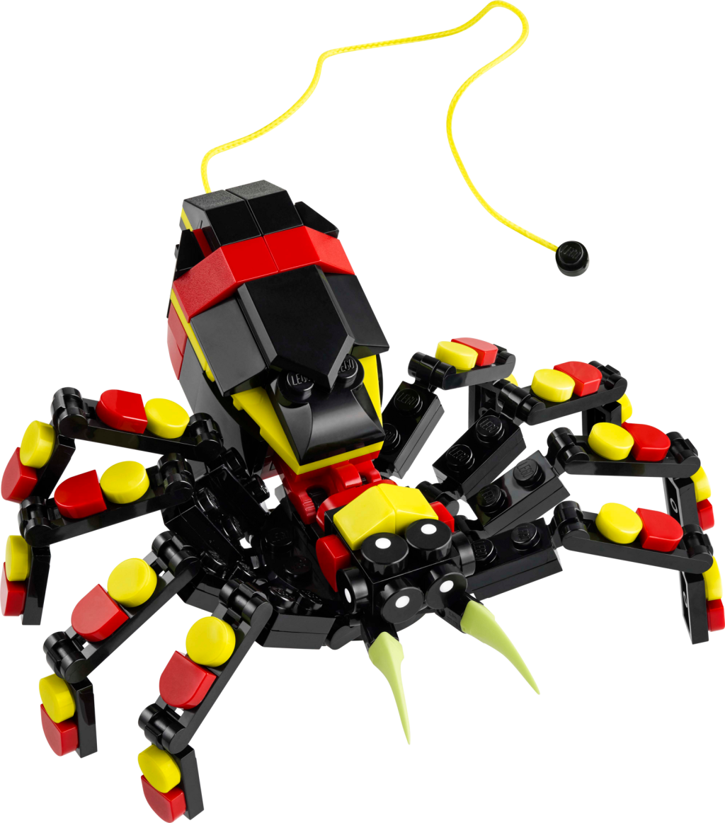 Wild Animals: Surprising Spider Revealed - The Brick Stand